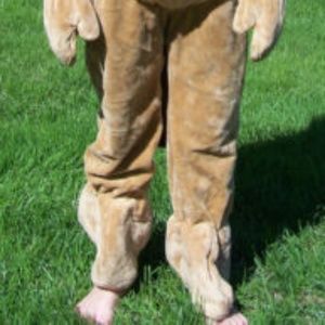 Disney | Costumes | Disneyland Resorts Goliath Lion Halloween Costume ...
